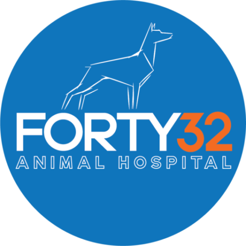 Best Vet In Rogers, AR 72758 | FORTY32 Animal Hospital